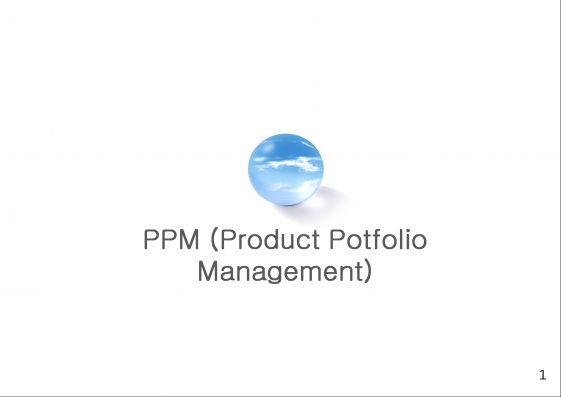 PPM(Product Potfolio Management)