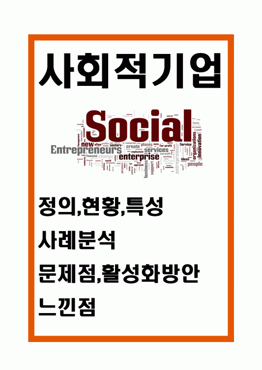 사회적기업 정의 현황 특성분석과 사례분석및 사회적기업 문제점과 활성화방안 연구 및 느낀점 - 사회적기업 연구레포트