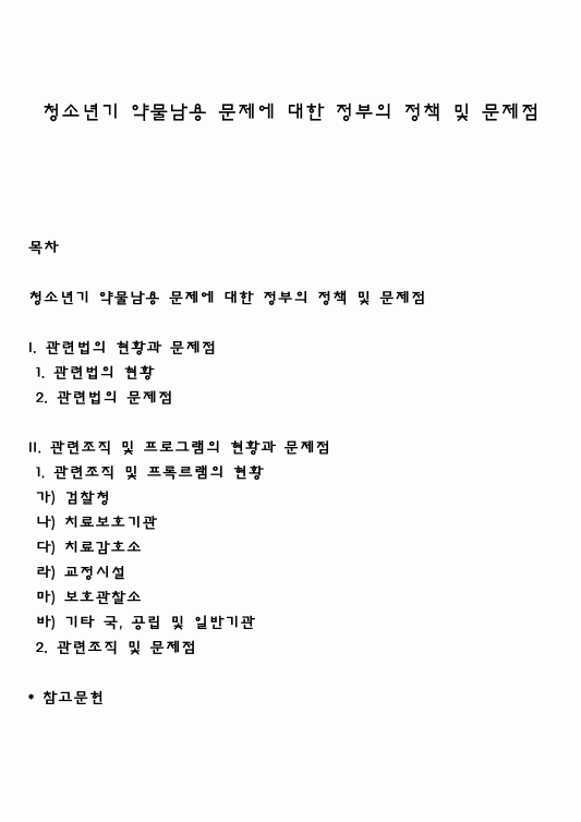 청소년기 약물남용 문제에 대한 정부의 정책 및 문제점