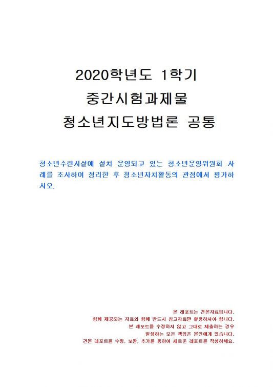 2020년 1학기 청소년지도방법론 중간시험과제물 공통(청소년운영위원회 사례를 조사)