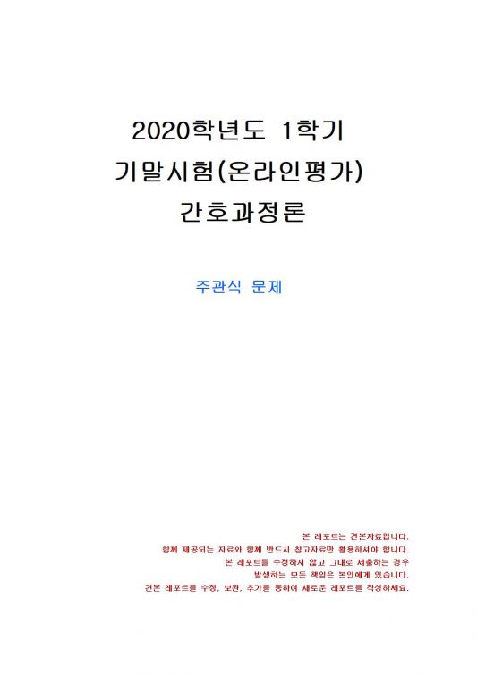 2020년 1학기 간호과정론 기말시험 과제물