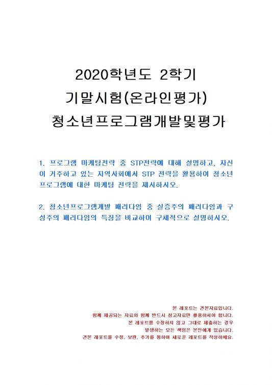 2020년 2학기 청소년프로그램개발및평가 기말시험 과제물(STP전략, 실증주의 패러다임)