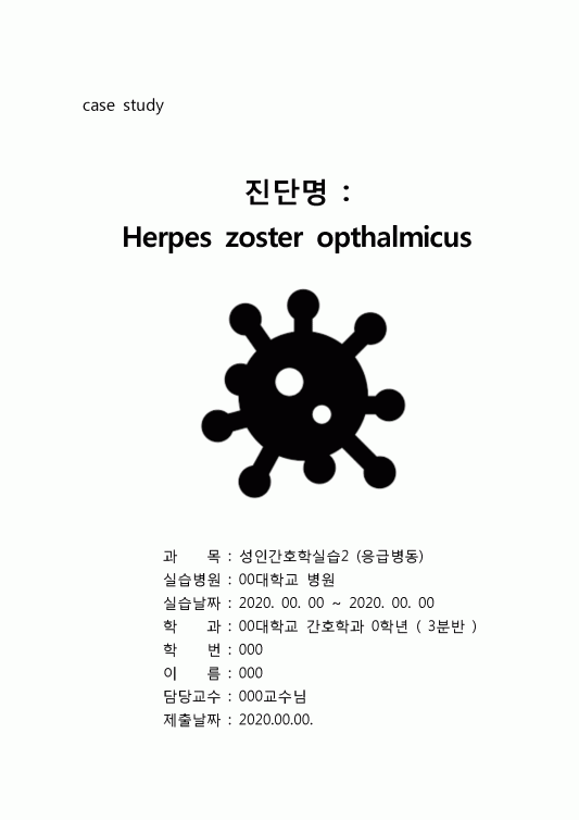 성인 대상포진 Herpes zoster 간호과정 case study [간호진단 5개]