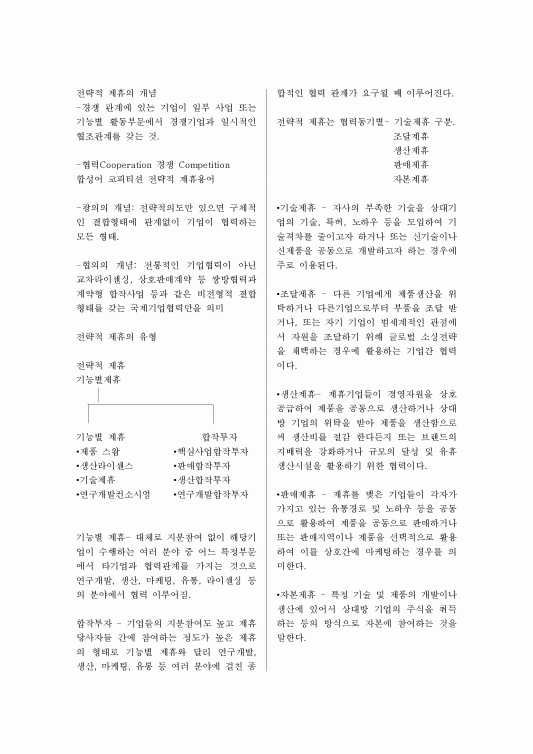 국제경영전략 [인문과학]