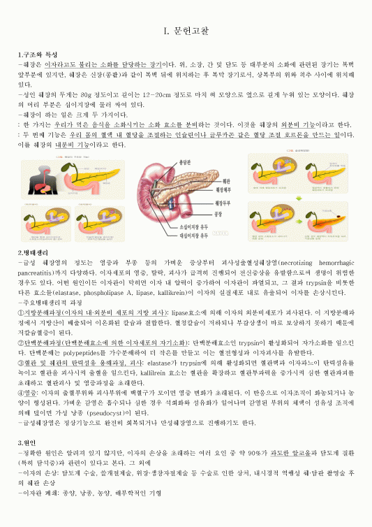 A+ 간호진단 3개 성인간호학실습 급성췌장염 케이스스터디 간호과정