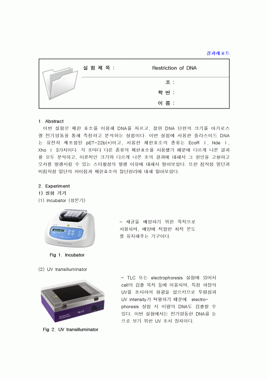 제한효소를 이용한 Restriction of DNA_결과레포트