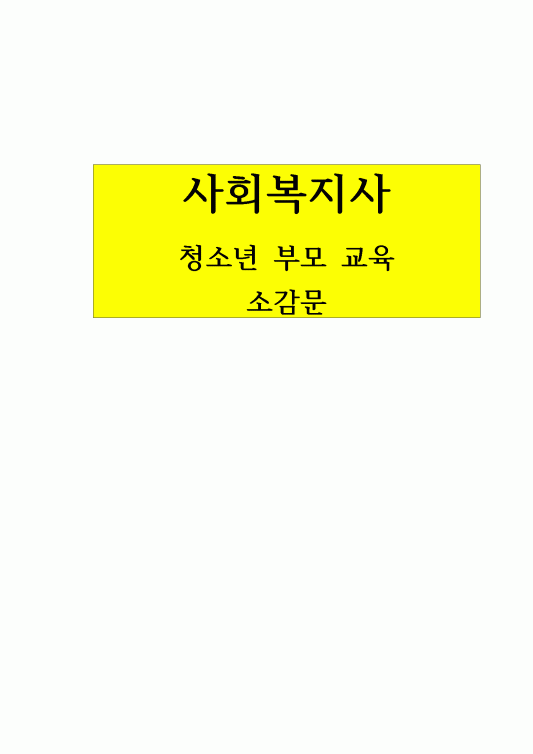 사회복지사 현장실습 소감문_청소년부모교육