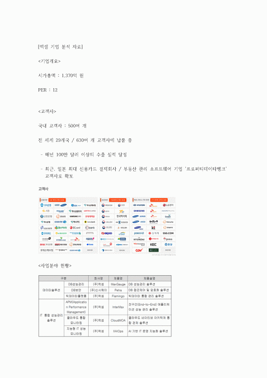 엑셈 기업 분석 보고서