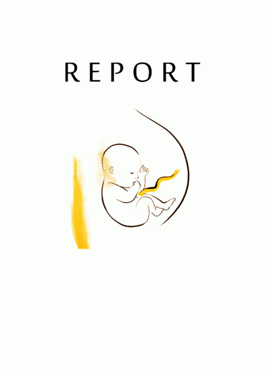 모성간호학 세계의 임신과 출산