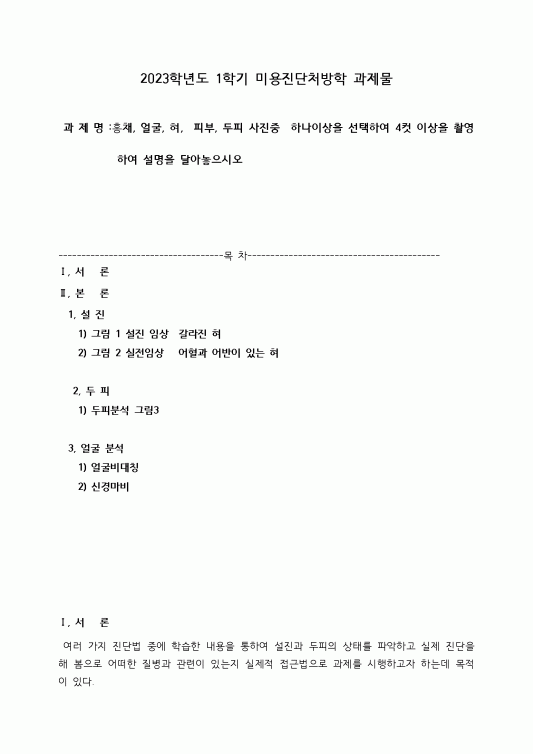 홍채, 얼굴, 혀,  피부, 두피 사진중  하나이상을 선택하여 4컷 이상을 촬영             하여 설명을 달아놓으시오