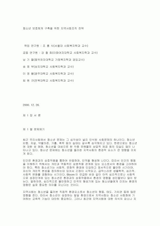 청소년 보호체계 구축을 위한 지역사회조직 전략