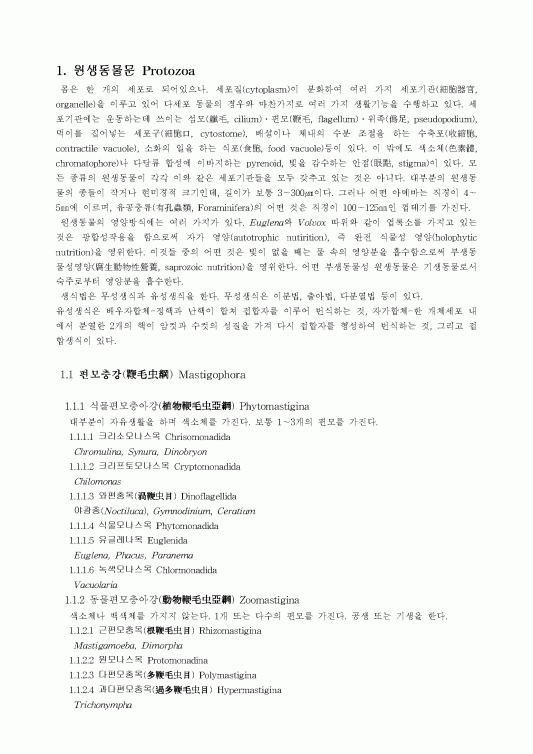 원생동물문 Protozoa.. 등등