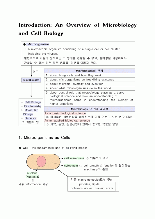 미생물 관련 리포트