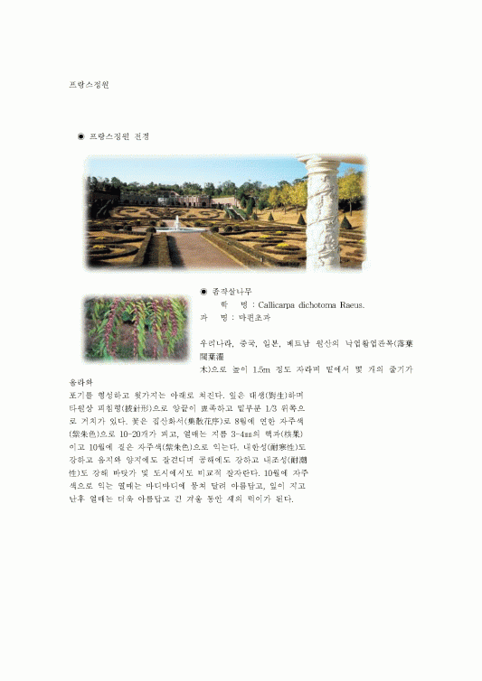 프랑스 정원 레포트 자료
