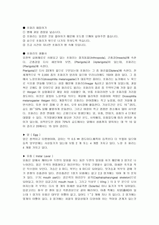 초파리의 사육과 생물학적 특성 등에 관해서