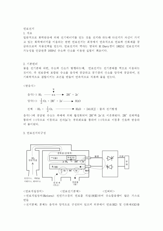 [분석/조사] 연료전지 [자연과학]