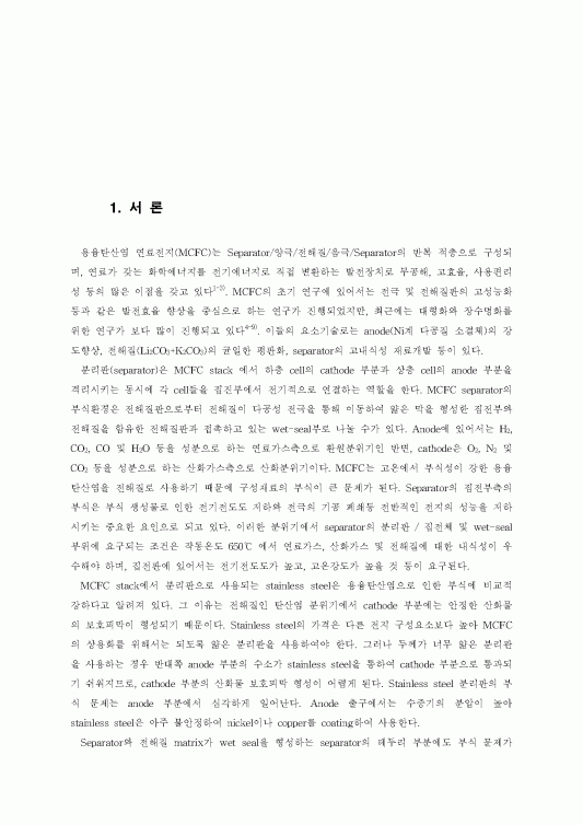 용융탄산염 연료전지 separator의 코팅처리와 내부식성