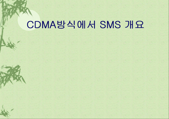 CDMA방식에서의 SMS 개요