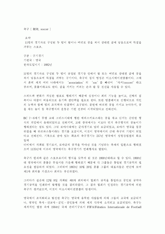 축구에 관한 정리