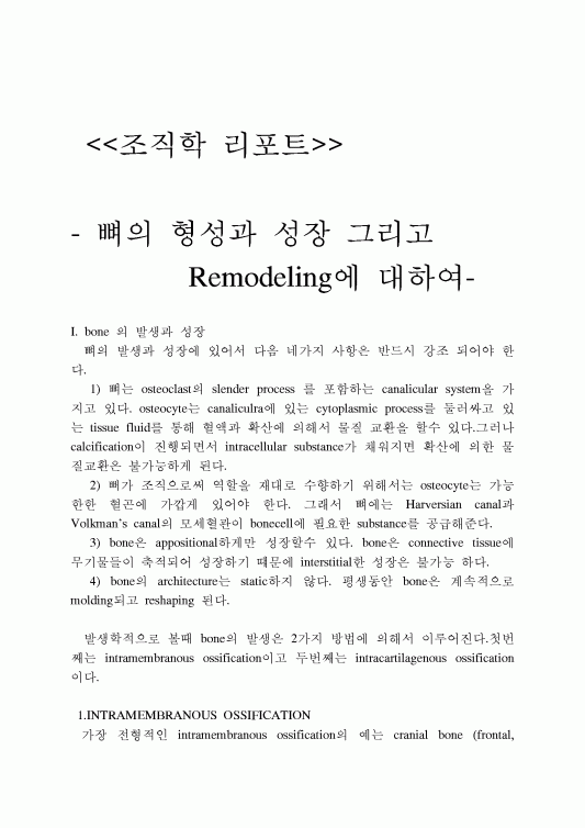 뼈의 성장 레포트 자료