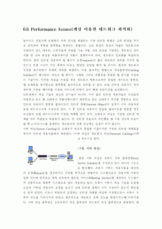 [자연과학] 네트워크 성능과 보안...
