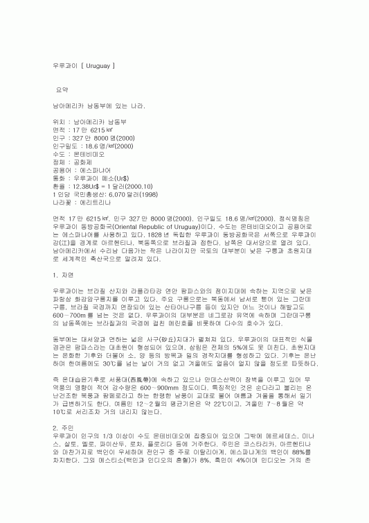 우르과이 레포트 자료