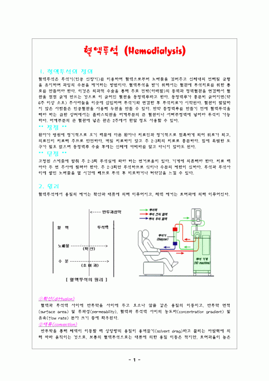 혈액투석에 관한 레포트