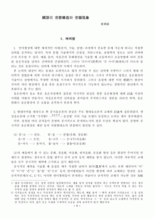 국어의 음운 구조와 음운 현상