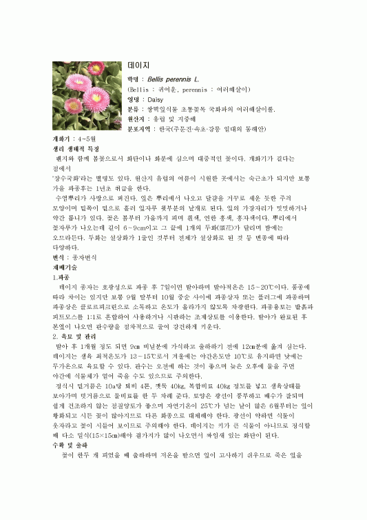 봄화단의 꽃조사