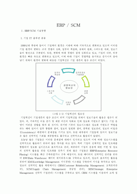 ERP/SCM 시장보고서