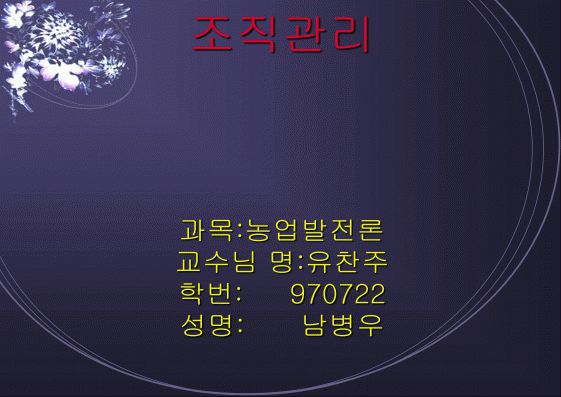 조직관리 레포트 자료