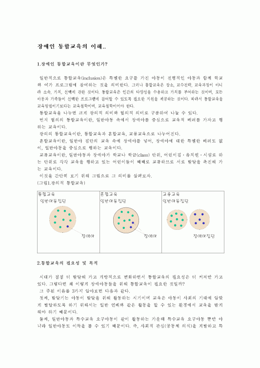 [공학/컴퓨터/통신] 장애인 통합교육