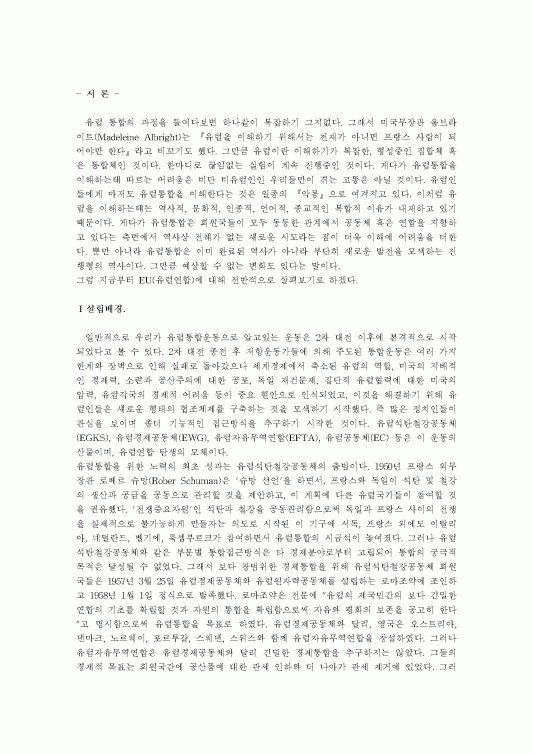 유럽연합(EU) 레포트 자료