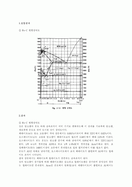 금속가열조직 결과 보고서