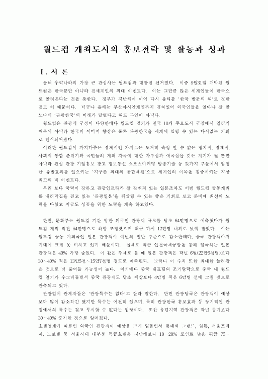 월드컵 홍보전략 및 활동과 성과