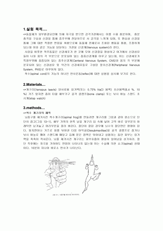 개구리 해부 실험 리포트 (점수)