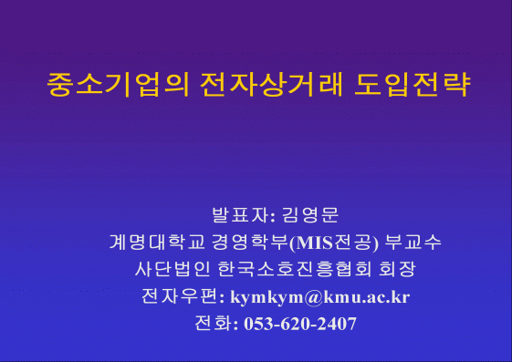 중소기업의 전자상거래 도입전략