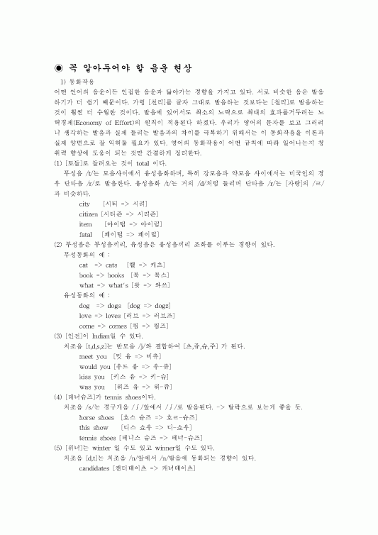 음운 현상 레포트 자료