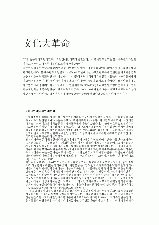 文化大革命(문화대혁명)