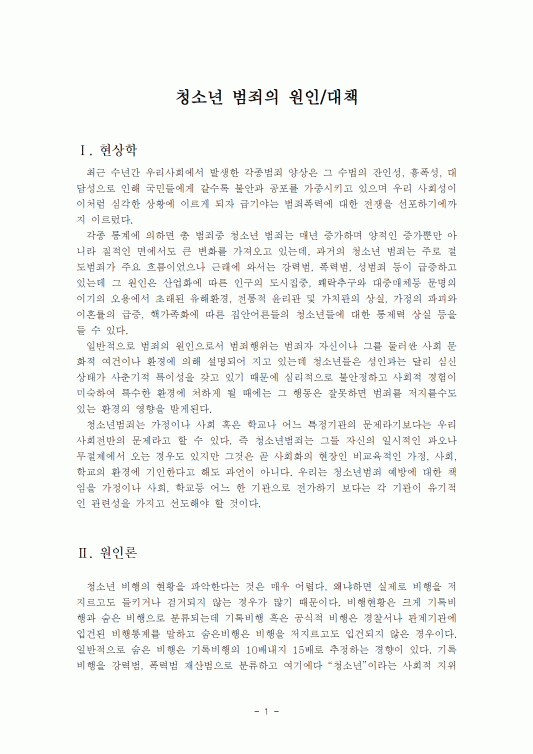 청소년비행의 원인/대책