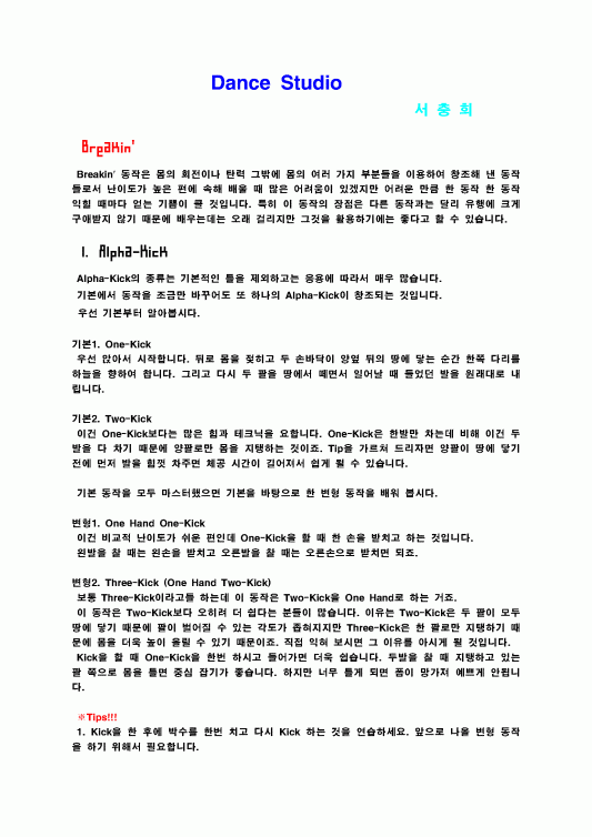 Dance Studio 레포트 자료