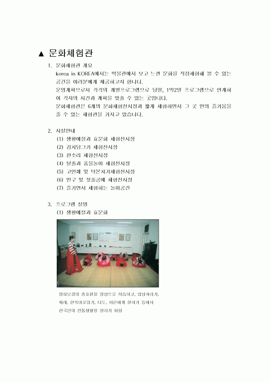 문화체험 레포트 자료