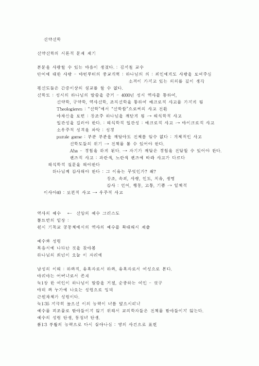 [인문과학] 신약의 이해