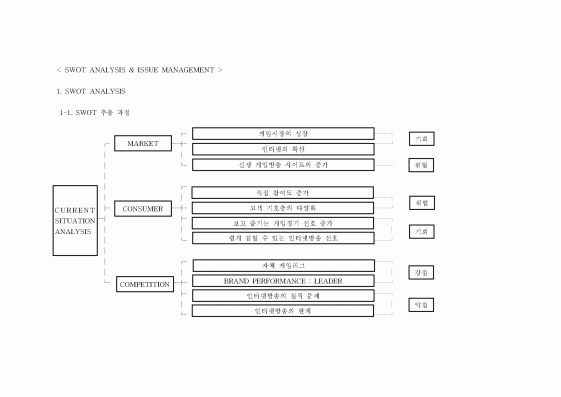 SWOT ANALYSIS & ISSUE MANAGEMENT(인테넷방송국)