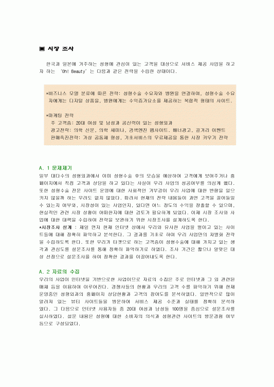 인터넷 사업계획서 (가상성형)