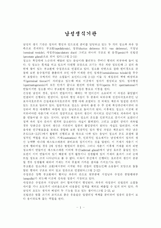베체드병과 성생식기관