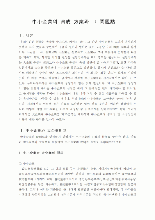 중소기업의 육성 방안과 그 문제점