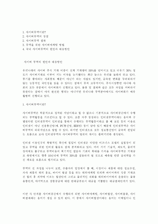 국내 인터넷무역의 현안과 대응방안