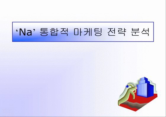 016 Na 의 통합적 마케팅전략 분석