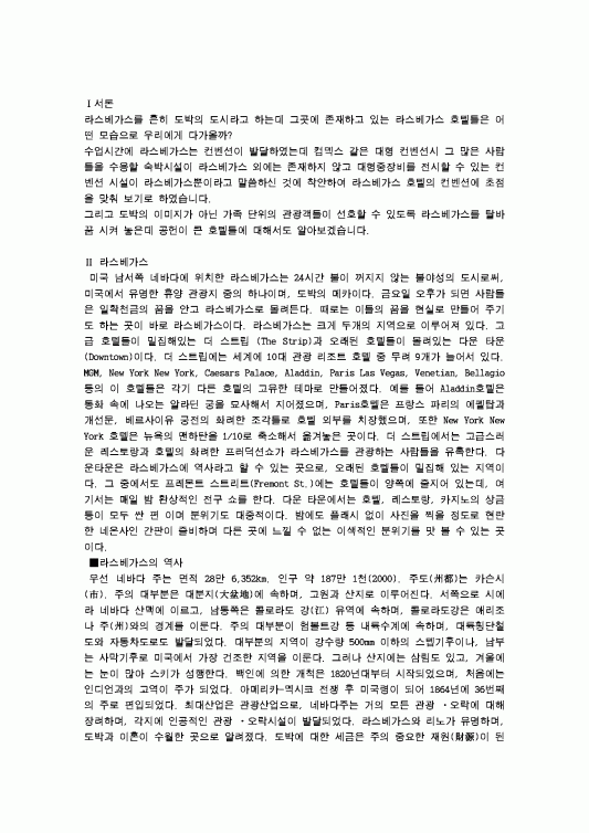 라스베가스 호텔 (호텔산업 관광호텔 호텔관광 관광산업 카지노 관광 호텔